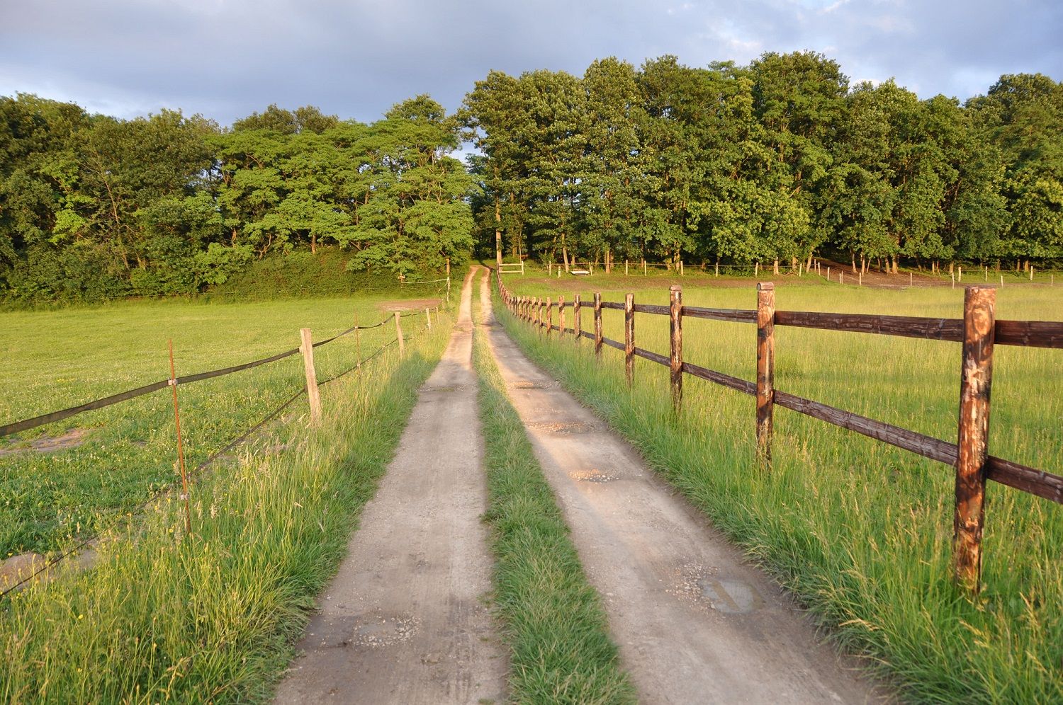 Parc naturel Régional de la Haute Vallée de Chevreuse - Forges-Les ...